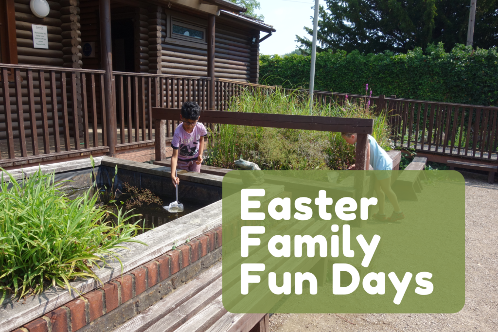Family Fun Morning – 12th April